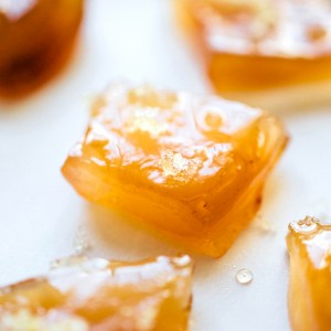 Kombucha SCOBY Candy